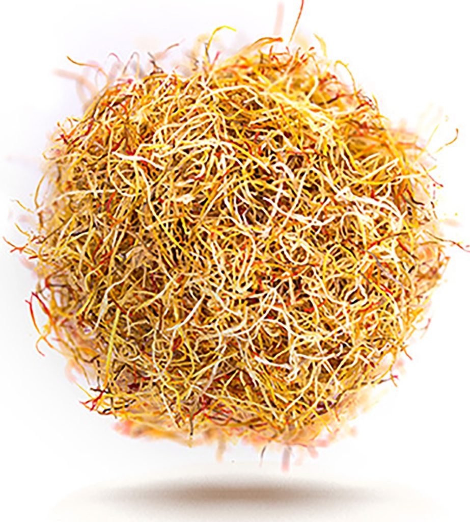 Saffron Catalog – Roshdineh